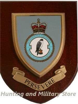 RAF Royal Air Force 7630 Intelligence Sqd Regental Military Wall Plaque ...
