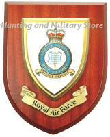 RAF Royal Air Force Fighter Command Regimental Military Wall Plaque