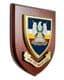 Royal Scots Dragoon Guards Military Wall Plaque V2