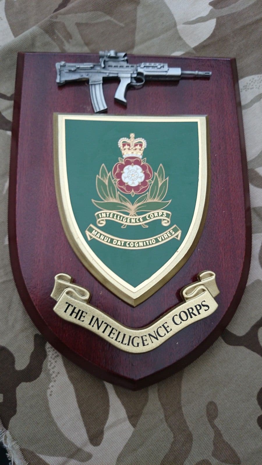 The Intelligence Corps Regiment Military Wall Plaque Pewter SA80