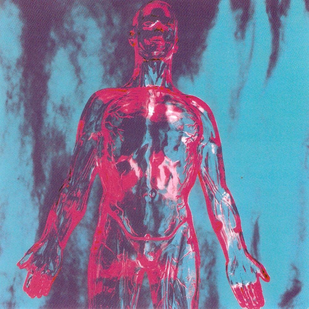 NIRVANA Sliver Vinyl Record 7 Inch US Sub Pop 2010