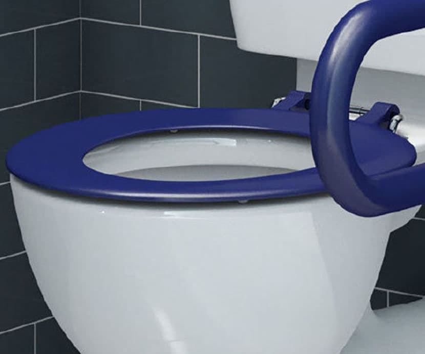 Saxon Blue Seat Only with Stainless Steel Hinges - 02002028