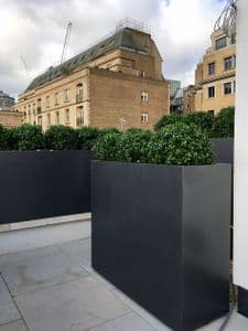 Fibreglass Trough Planters from potstore.co.uk