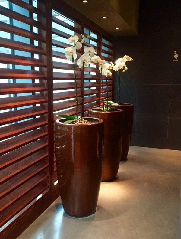 GRP Tall Tapered Round Pots From potstore.co.uk