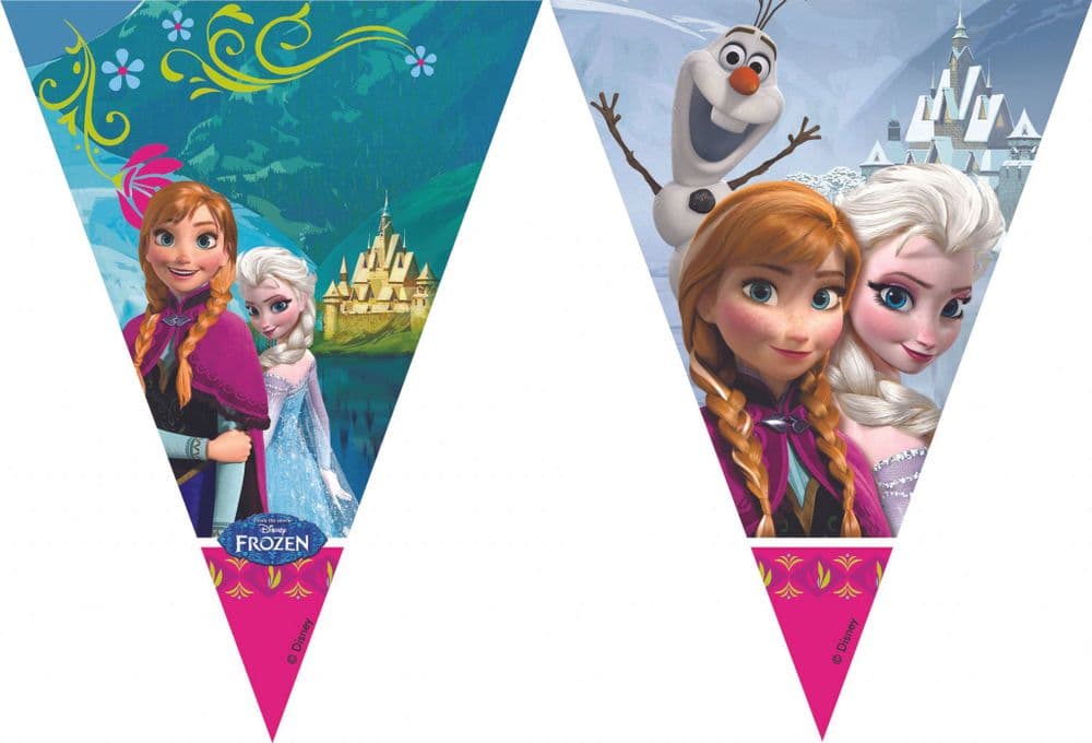 Disney Frozen Flag Banner