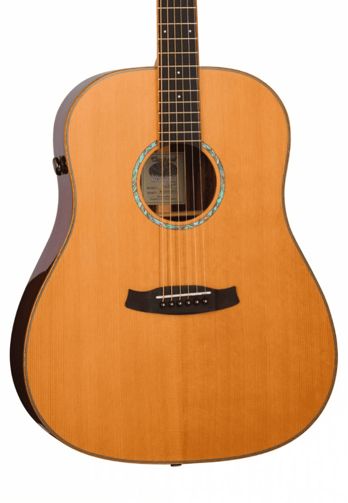 Tanglewood TRS5SE