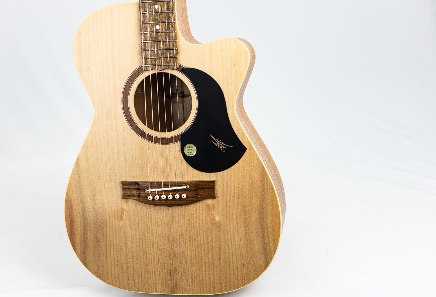 The Maton Performer with Case