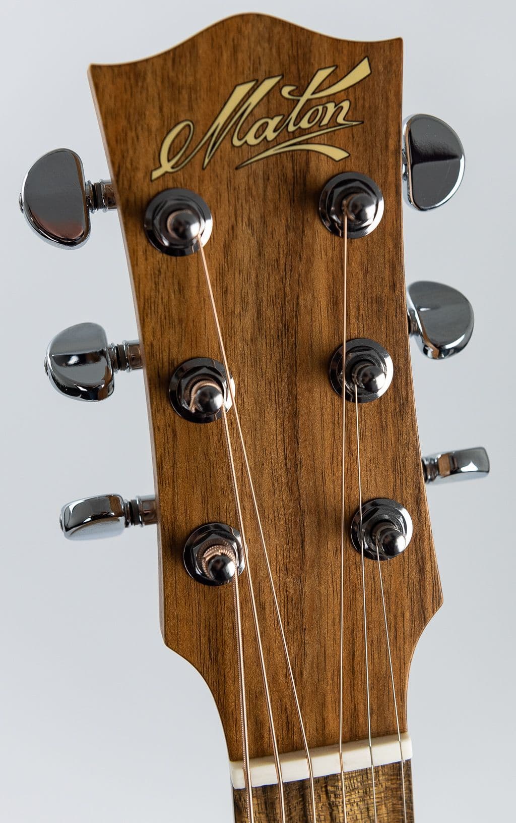 The Maton Performer with Case