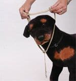K9 Bridle Dog Halti/Control