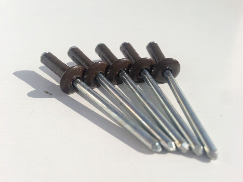 Brown Rivets