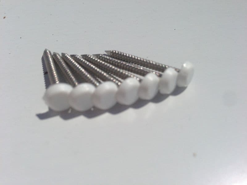 White 1 Polytop Pins 25mm