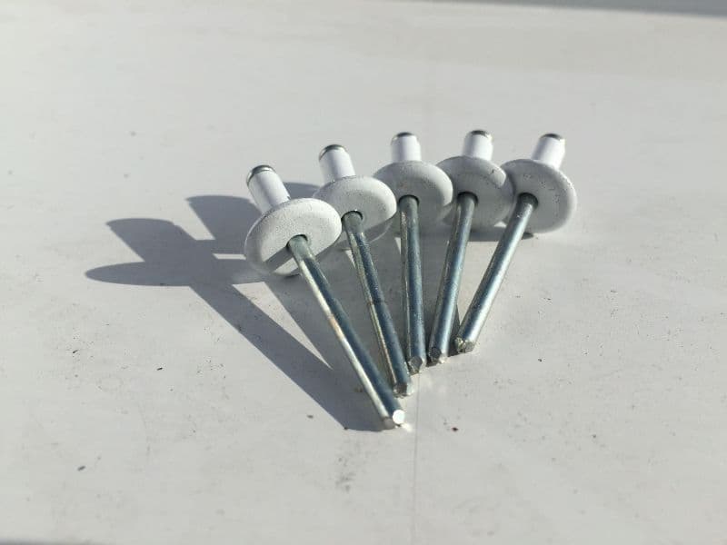 White Large Head Standard Pop Rivets 4 8 x 12mm