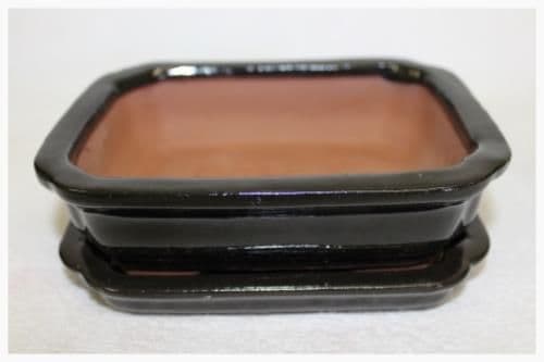 Bonsai Pot Rectangle 16cm Black Glazed Saucer