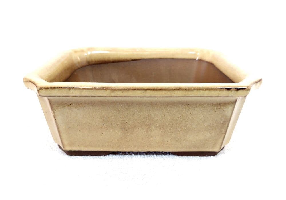 Bonsai Pot Rectangle 16cm Cream Dark Glazed