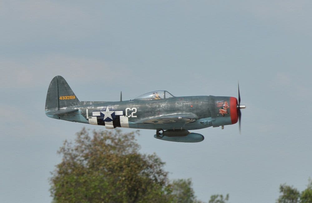 Black Horse P-47D Thunderbolt 33-45cc ARTF A-BH117