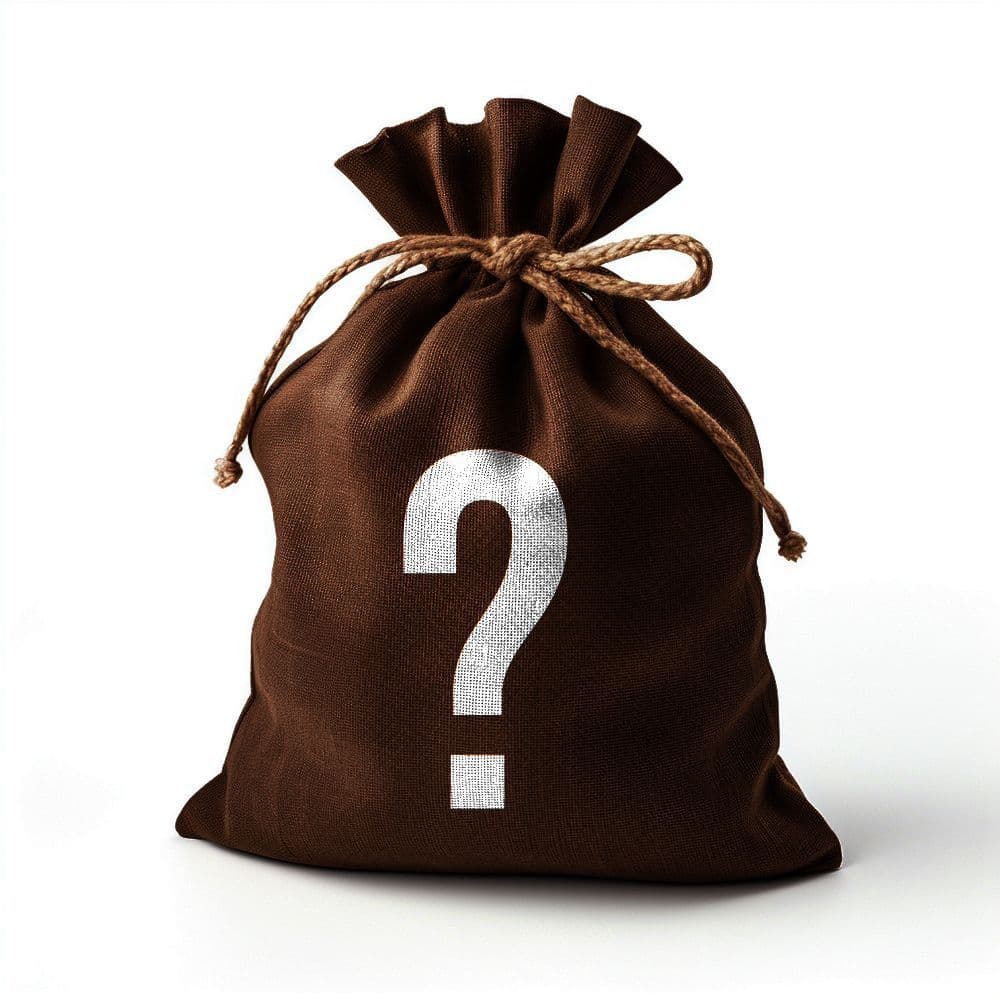 Free Mystery Santas Sack