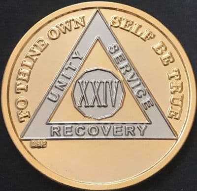 Gold Silver Bi Plate - Page 2