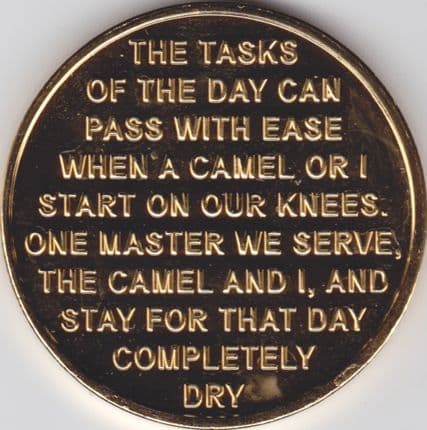 AA Camel Coin Gold Plated