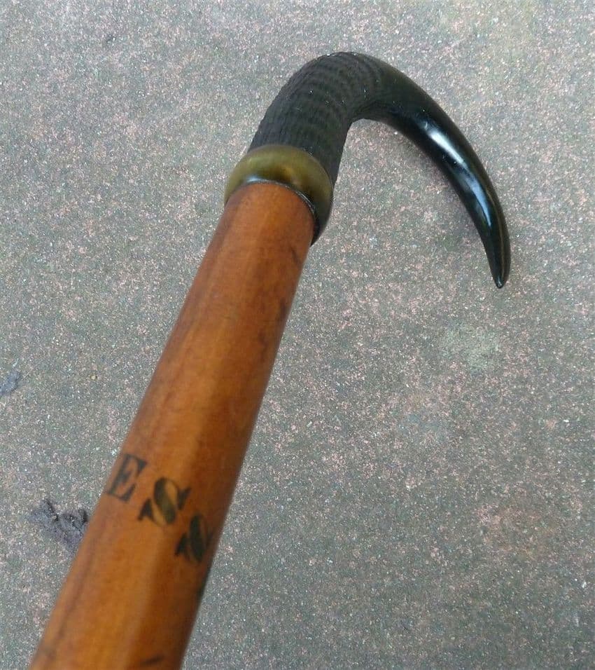 Antique Swiss Alpine Giessbach Alpine Walking Stick Chamois Horn Handle ...