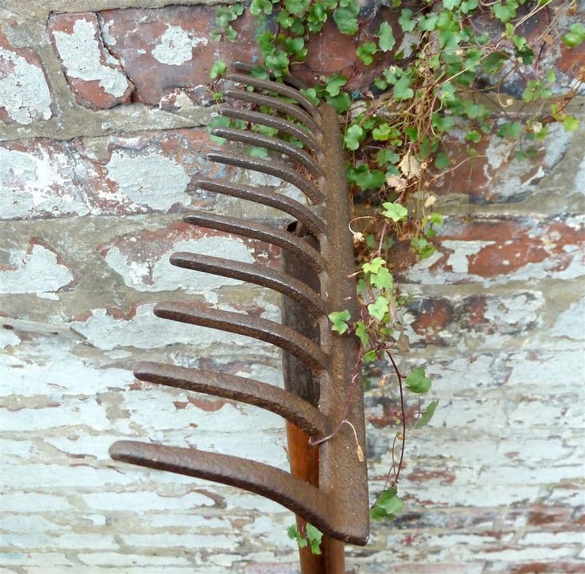 Vintage Gardening Tool Thick Wooden Handled 12 Tine Garden Rake Circa ...