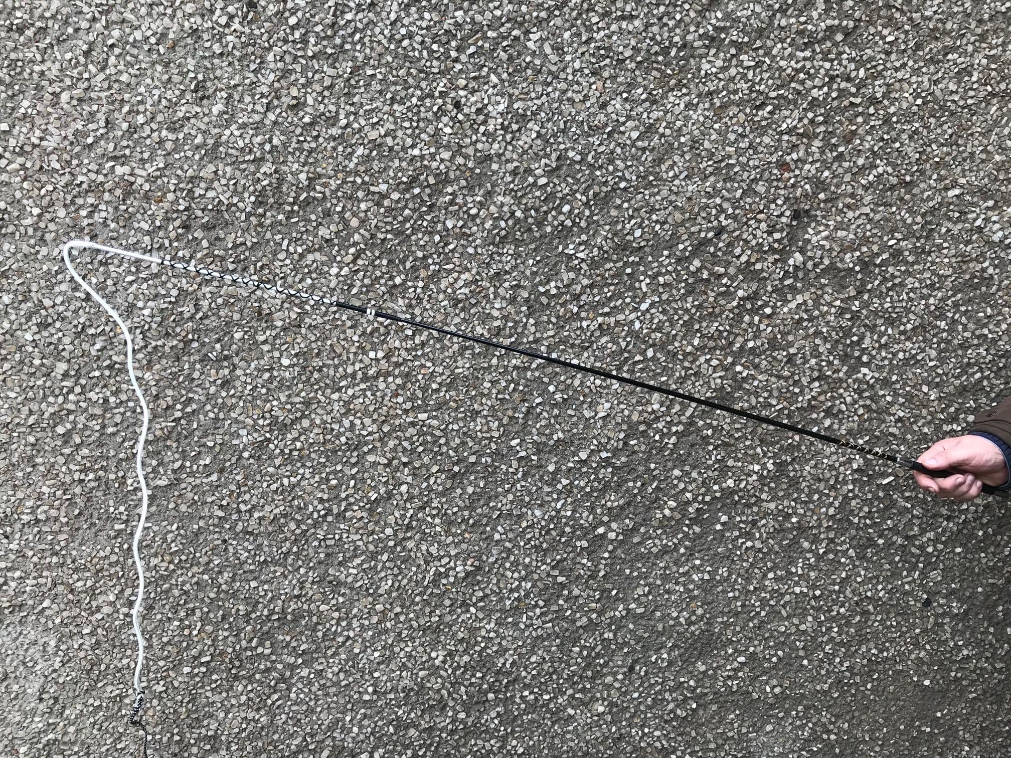 165cm Carriage driving Whip