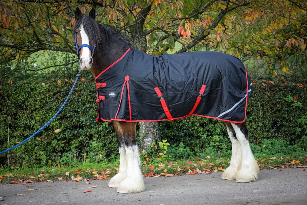 200gram 1200D Turnout Rug Heavy Horse Shire Standard Neck 6 9"- 7 9"