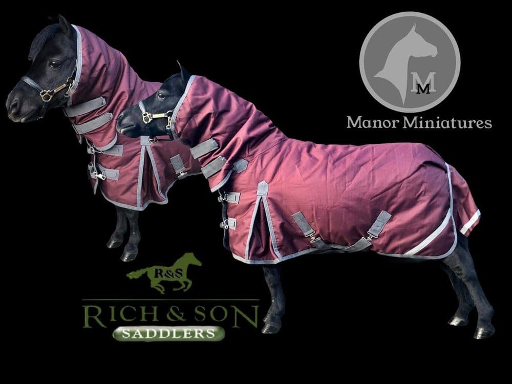 Foal / Shetland Turnout Rug Full Neck Medium Weight 1200Denier