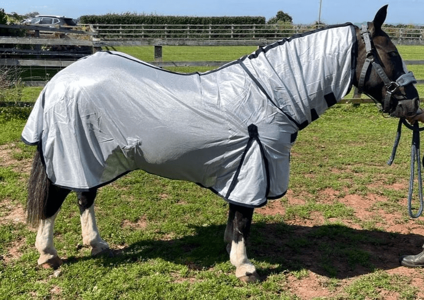 Full Neck Fly Rug