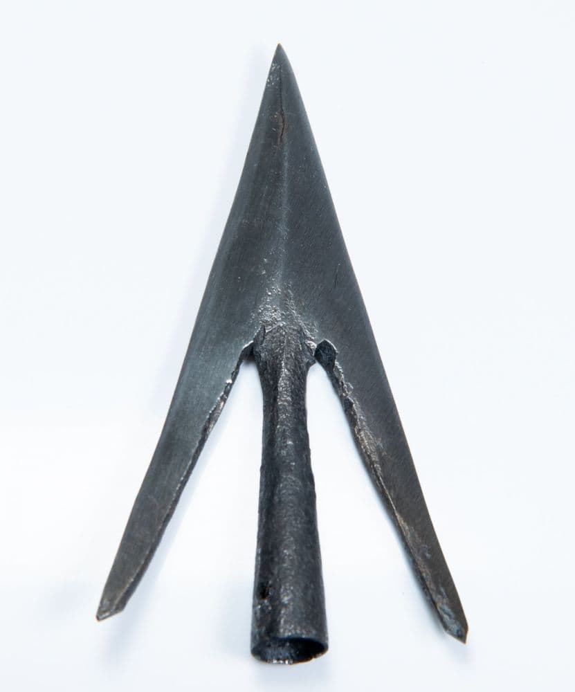 HECTOR COLE Straight Broadhead