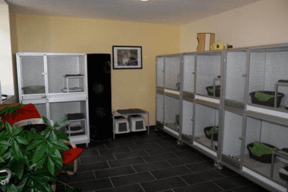 cat pens made from upvc and aluminium