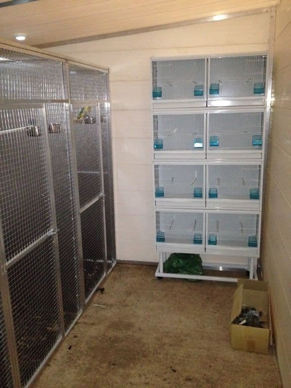 Maintenance Free Bird Rooms