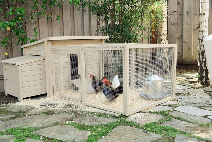 Plastic chicken coop and Run