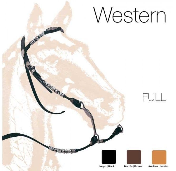 Decorated Western bridle