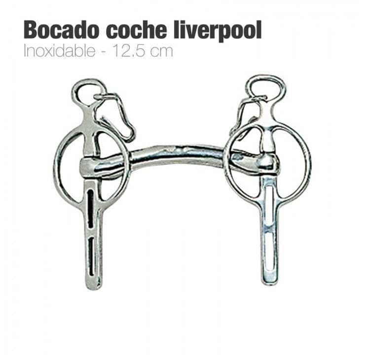 Driving bit Liverpool sliding cheeks with curb chain