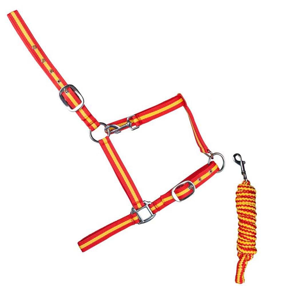 Nylon headcollar and lead rope