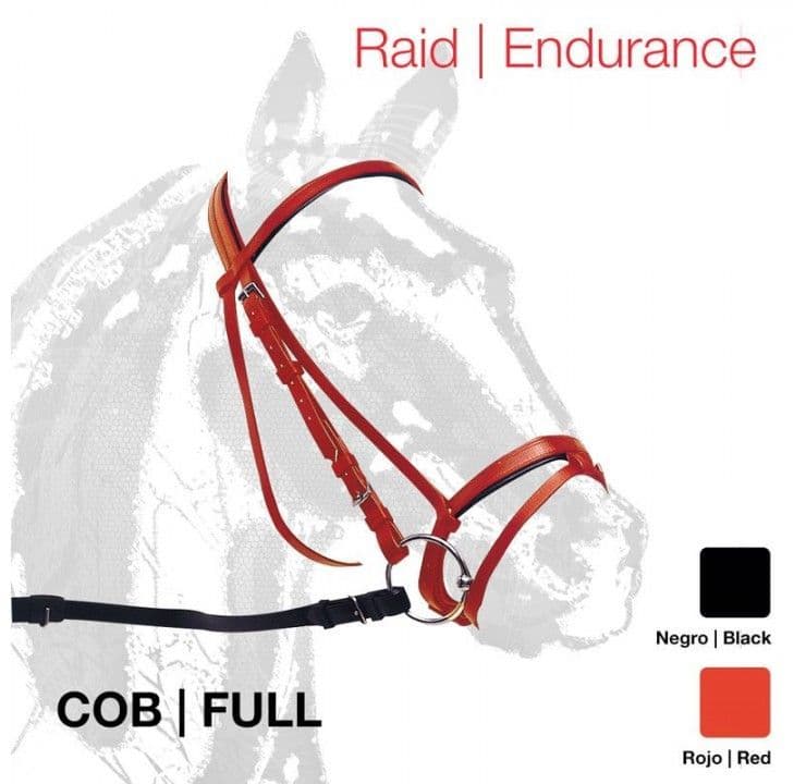 Pvc endurance bridle
