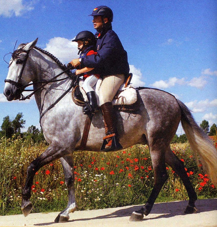 Zaldi Vaquera Tandem saddle