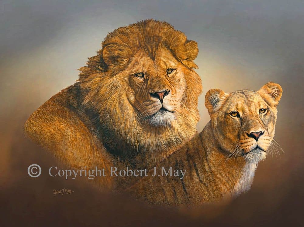 Limited Edition of 50 Lion and Lioness Prints RMLE77