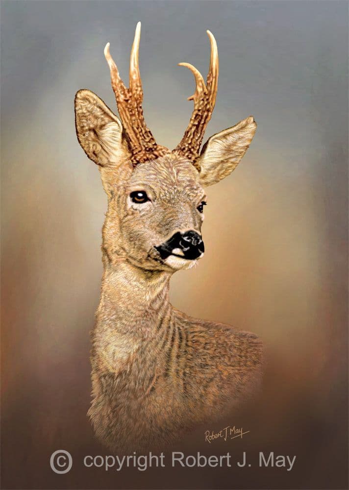 Limited Edition of 50 Roebuck Prints RMLE87