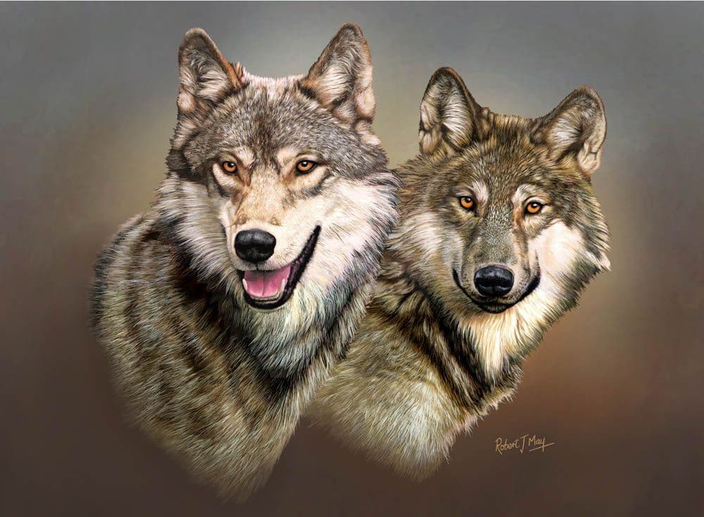 Limited Edition of 50 Wolf Head Study Prints RMLE59
