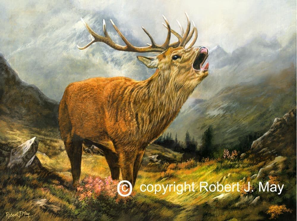Limited Edition Red Deer Print RMLE 102
