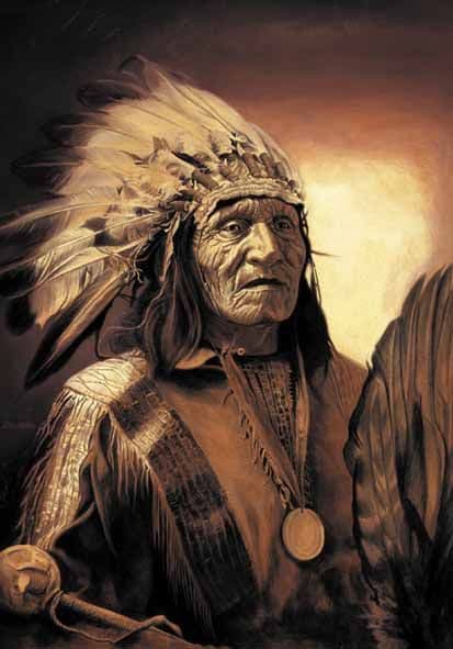 Native American Chief - Textile Poster Flag