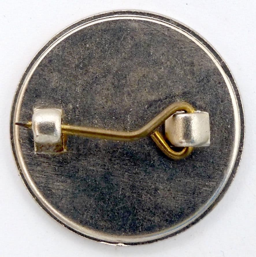 Paul Young - Paul Prismatic Lapel Badge