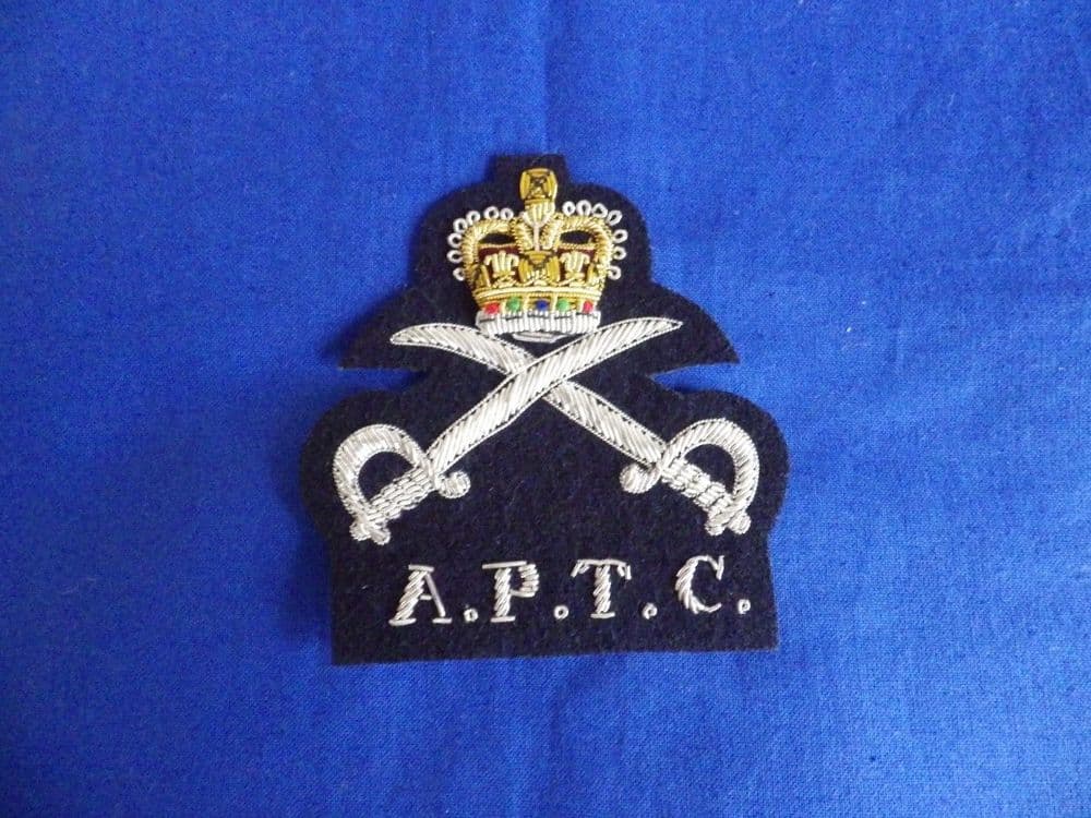 ARMY PHYSICAL TRAINING CORPS BLAZER BADGE