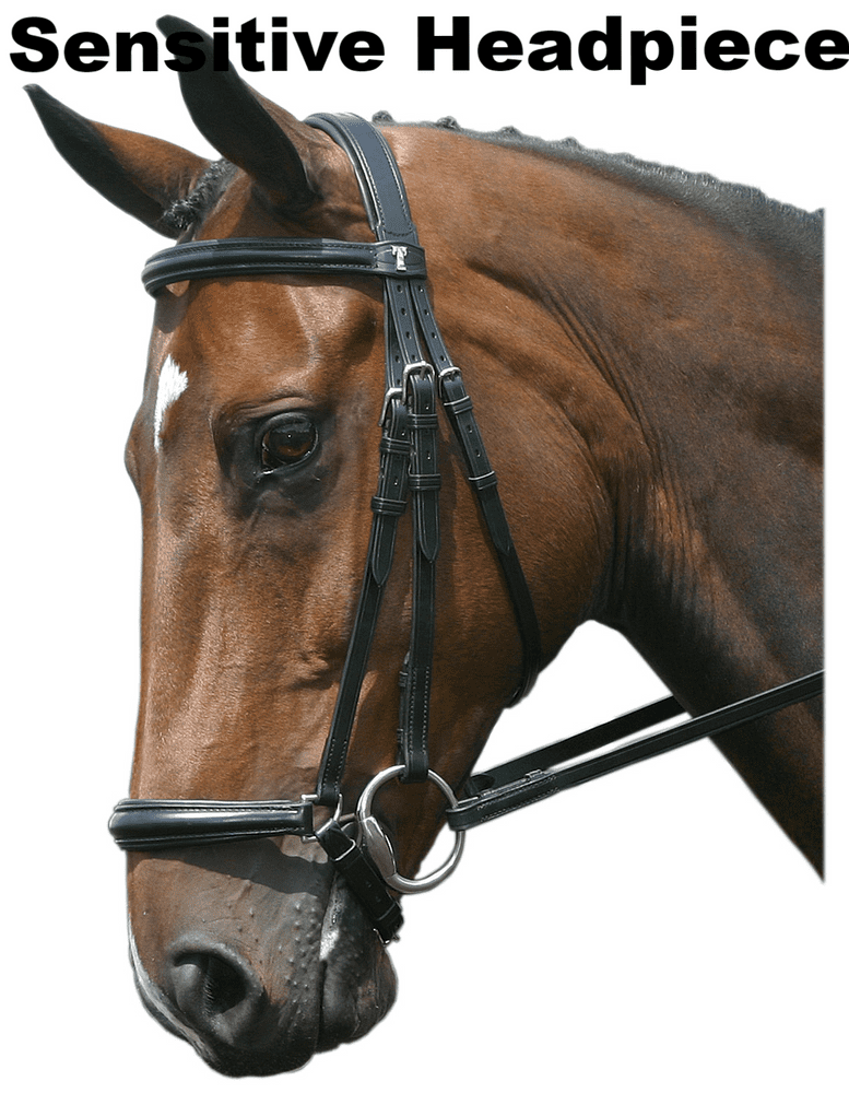 Sabre Cordoba comfort bridle, padded drop noseband bridle, padded ...