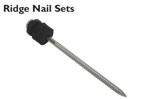 RIDGE SLATE WASHERED NAIL BLACK 110MM BOX 100