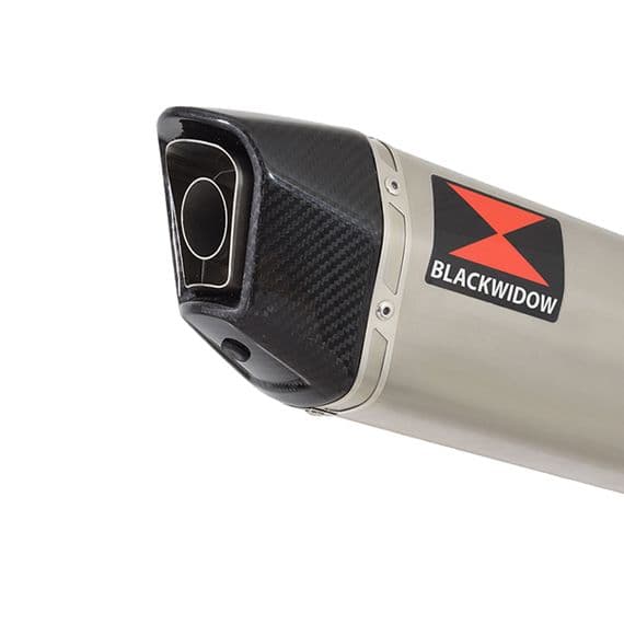 Ninja 400 Z 400 Exhaust System 300mm Hexagonal Stainless Carbon Tip ...