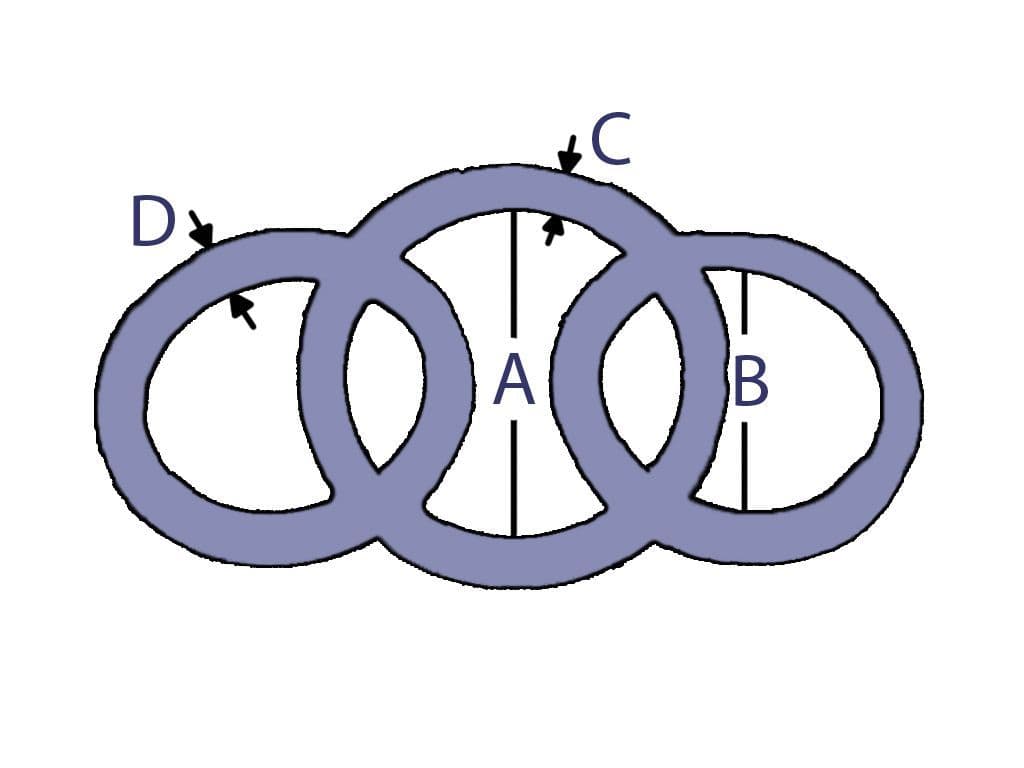 8MM x 60MM Stainless Steel Spectacles Ring Sets - Marine Netting Links
