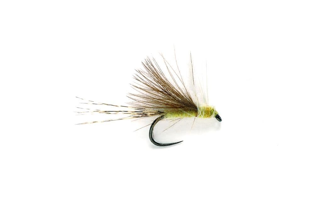 BL Blue Winged Olive CDC