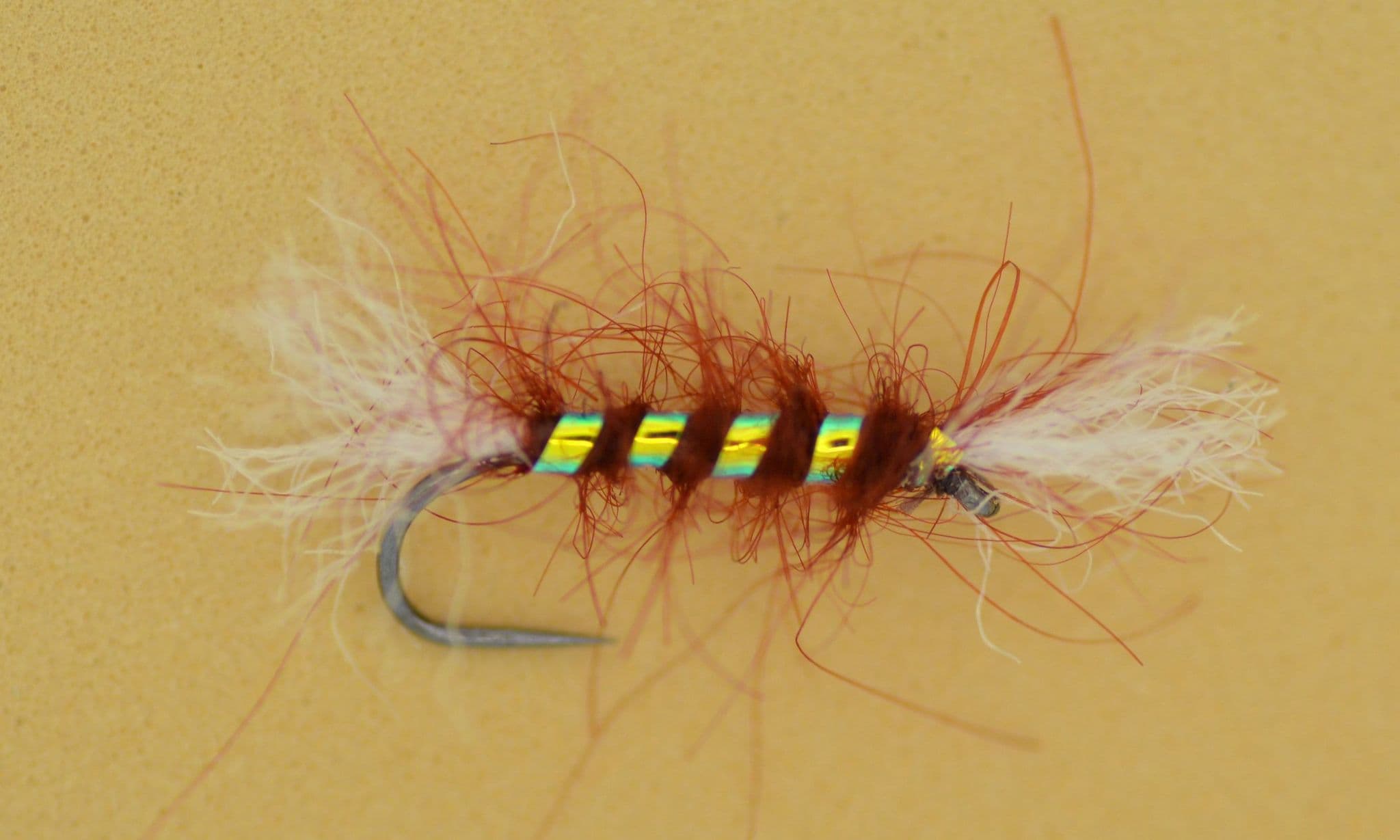 BL Fiery Brown Shipmans Buzzer